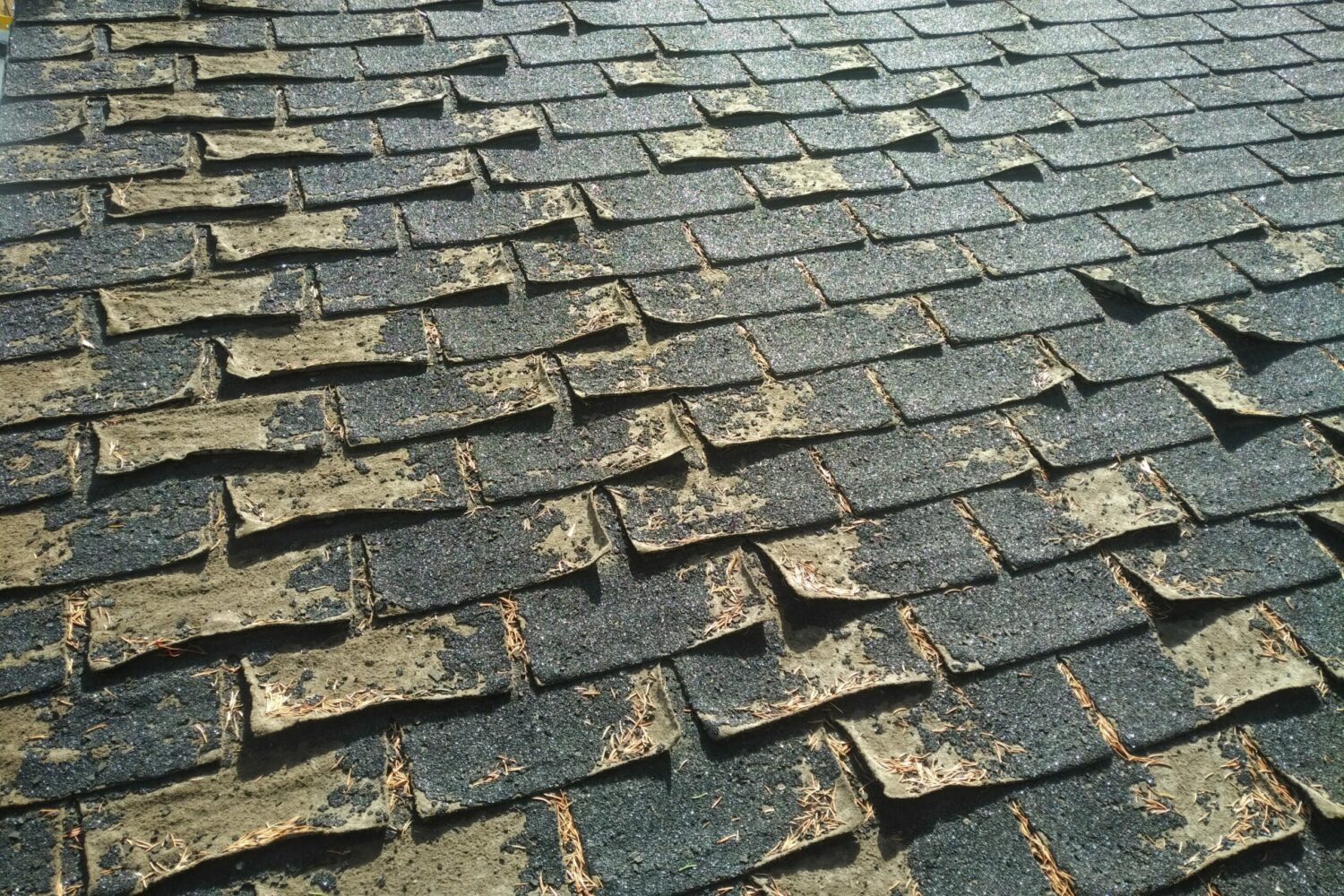 Common Roof Problems: Shingle Curling or Cupping | LOA Roofing